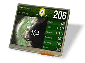 Phoenix Display - Custom & Standard Displays for OEMs